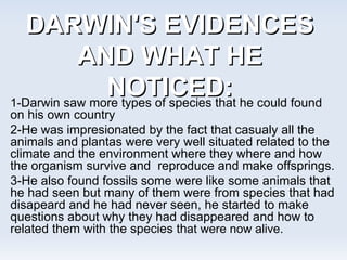 Evolution webquest | PPT | Biological Sciences | Science