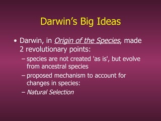 Evolution1 | PPT