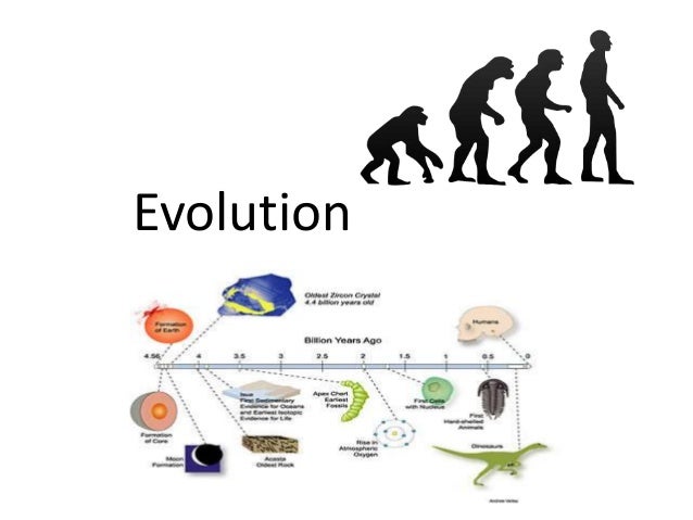 Evolution (1)