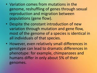 Evolution | PPT
