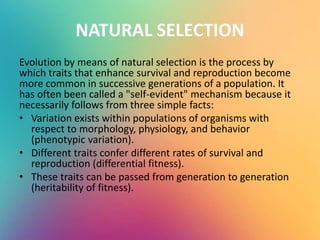 Evolution | PPT