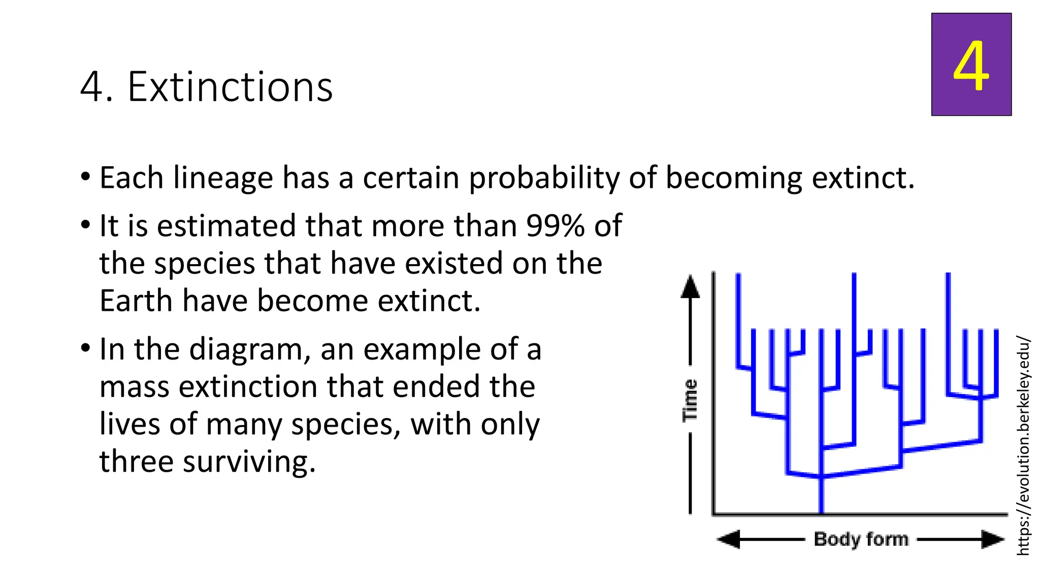 Evolution 16 Macroevolution Diego Tirira.pdf