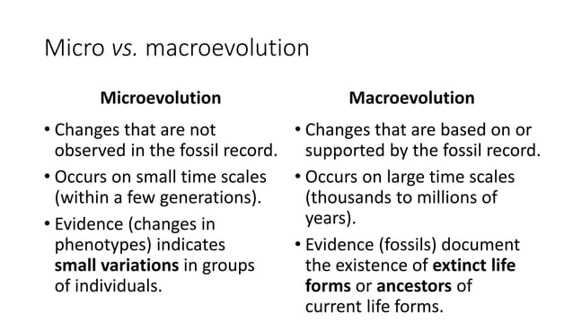 Evolution 16 Macroevolution Diego Tirira.pdf