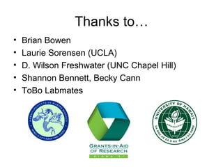 Evidence for widespread hybridization between two closely related ...