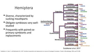 Global repeated replacement of bacterial symbionts by fungal pathogens ...