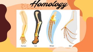 Evolution and Its Evidence - Earth and Life Science - 2nd qtr | PDF