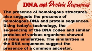 Evolution and Its Evidence - Earth and Life Science - 2nd qtr | PDF