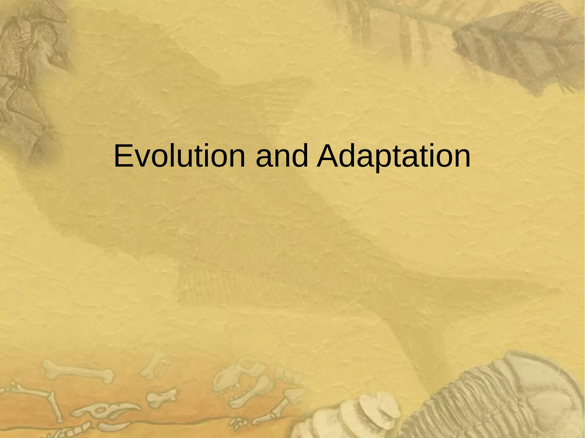 Evolution and adaptation | ODP