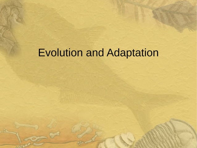 Evolution and adaptation | ODP | Biological Sciences | Science