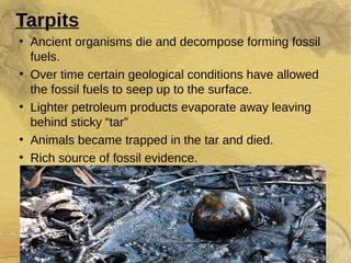 Evolution and adaptation | ODP