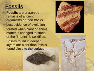 Evolution and adaptation | ODP