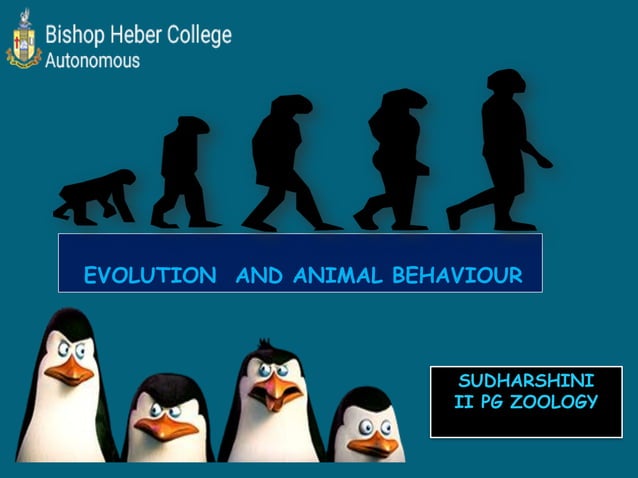Evolution and animal behaviour | PDF | Reptiles | Pets
