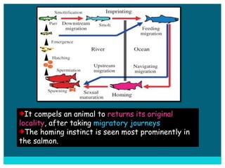 Evolution and animal behaviour | PDF