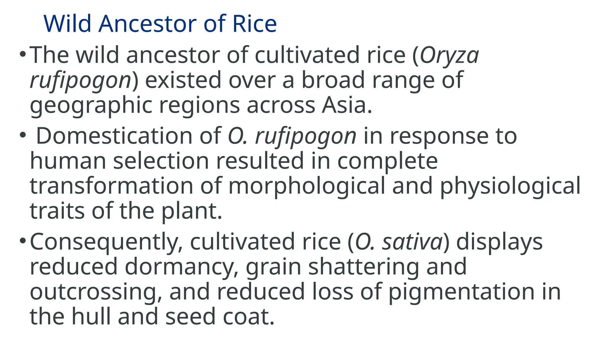 Evolution and breeding in rice crop.pptx