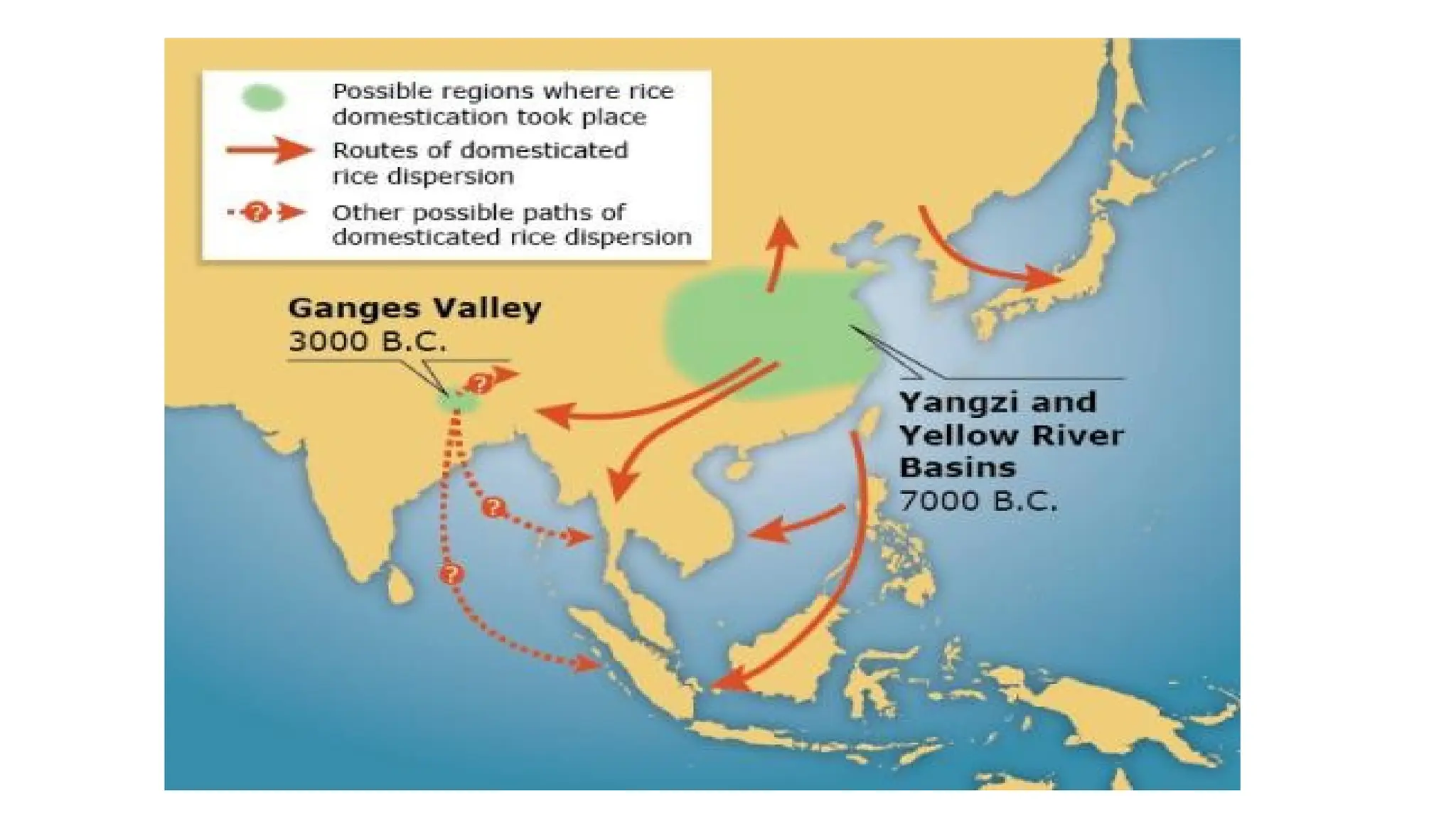 Evolution and breeding in rice crop.pptx