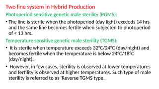 Evolution and breeding in rice crop.pptx
