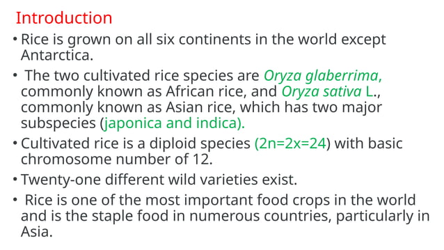 Evolution and breeding in rice crop.pptx | Agriculture | Industries