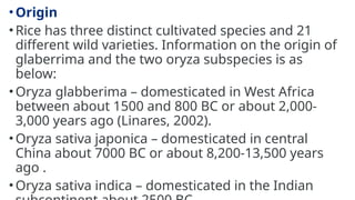 Evolution and breeding in rice crop.pptx | Agriculture | Industries