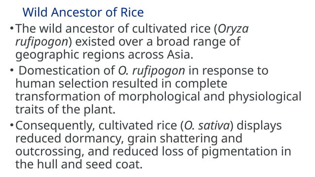 Evolution and breeding in rice crop.pptx | Agriculture | Industries