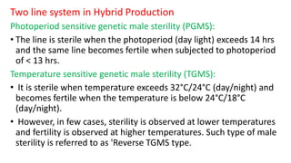 Evolution and breeding in rice (kamlesh).pptx