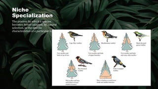 Evolution and Coevolution.pptx | Genetics | Science