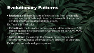 Evolution and Coevolution.pptx | Genetics | Science