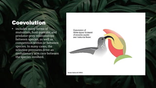 Evolution and Coevolution.pptx | Genetics | Science