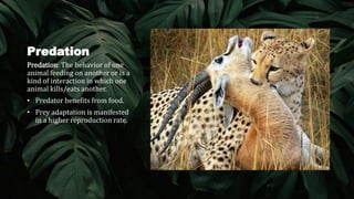 Evolution and Coevolution.pptx | Genetics | Science