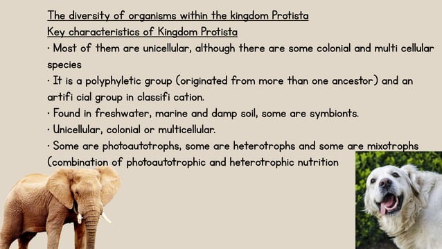 EVOLUTION AND DIVERSITY (1).pptx