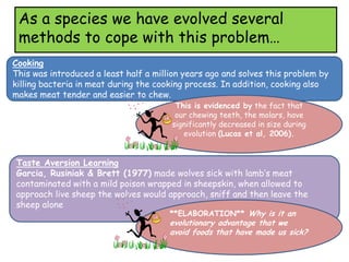 Eating: Evolution and food A2 | PDF