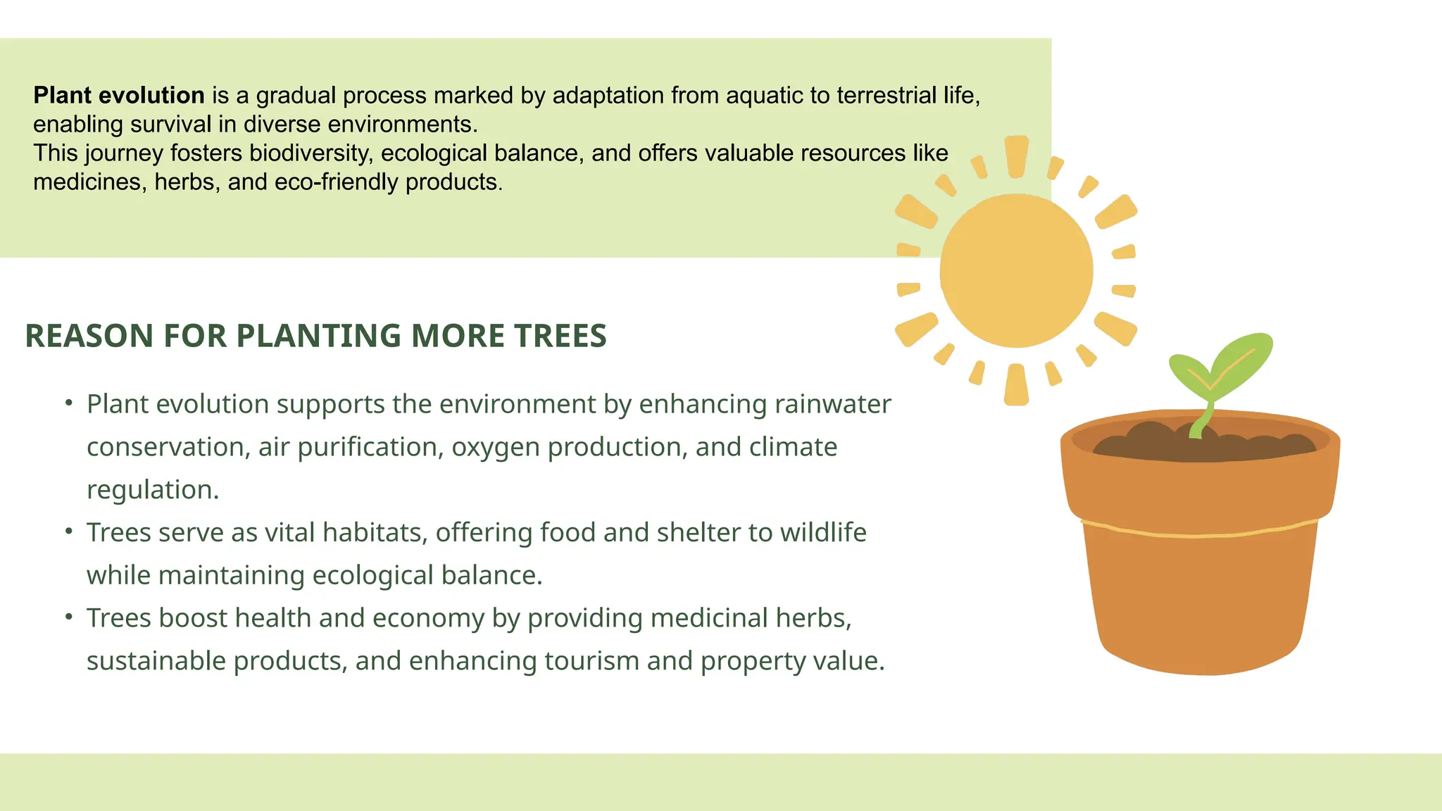 Evolution and Growth of a plant What Impacts you the most to plant a ...