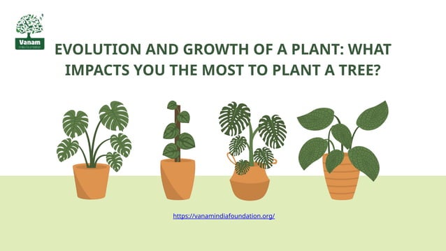 Evolution and Growth of a plant What Impacts you the most to plant a ...