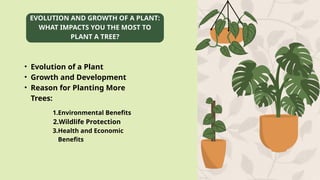 Evolution and Growth of a plant What Impacts you the most to plant a ...