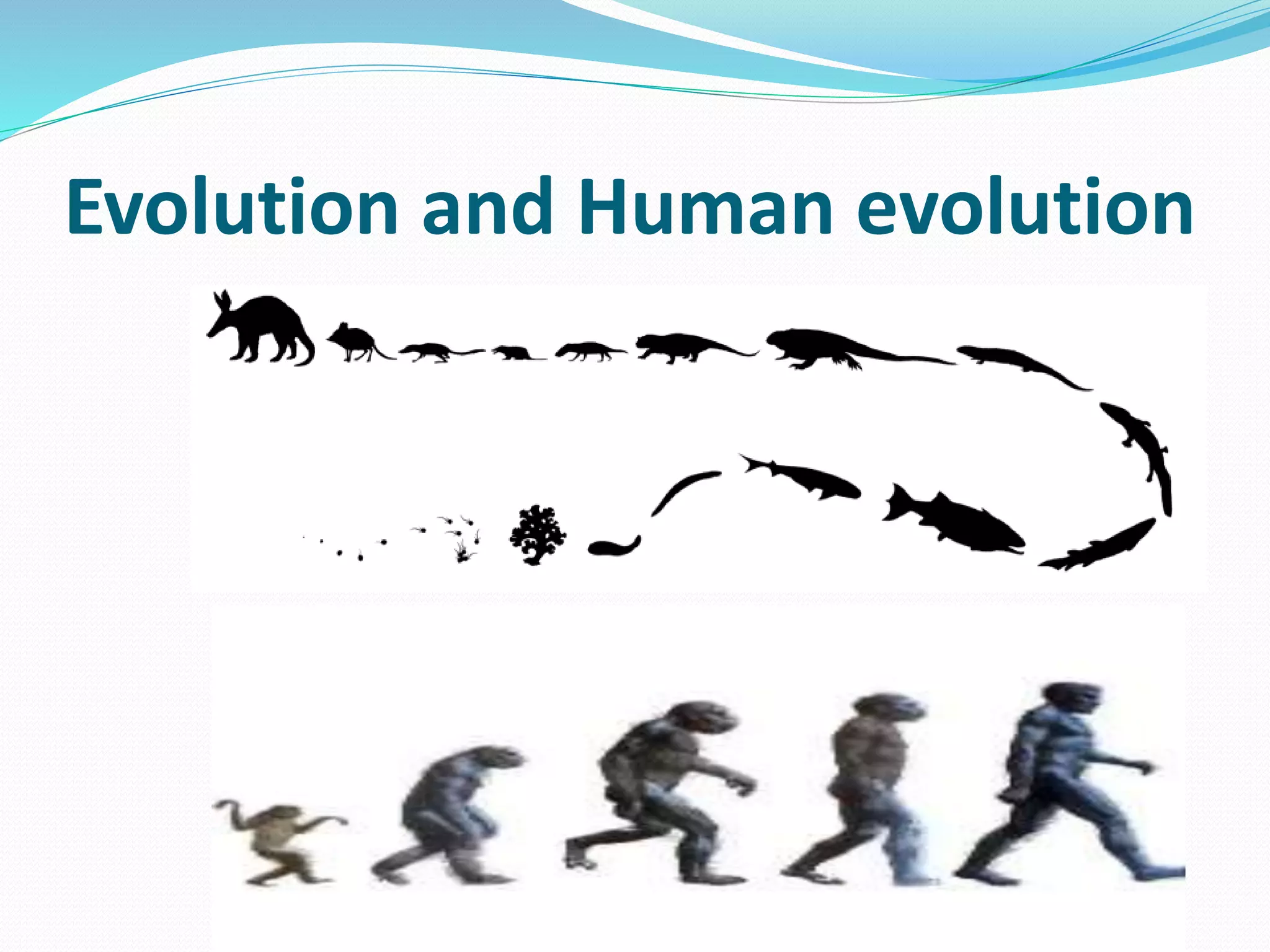 Evolution and human evolution | PPTX