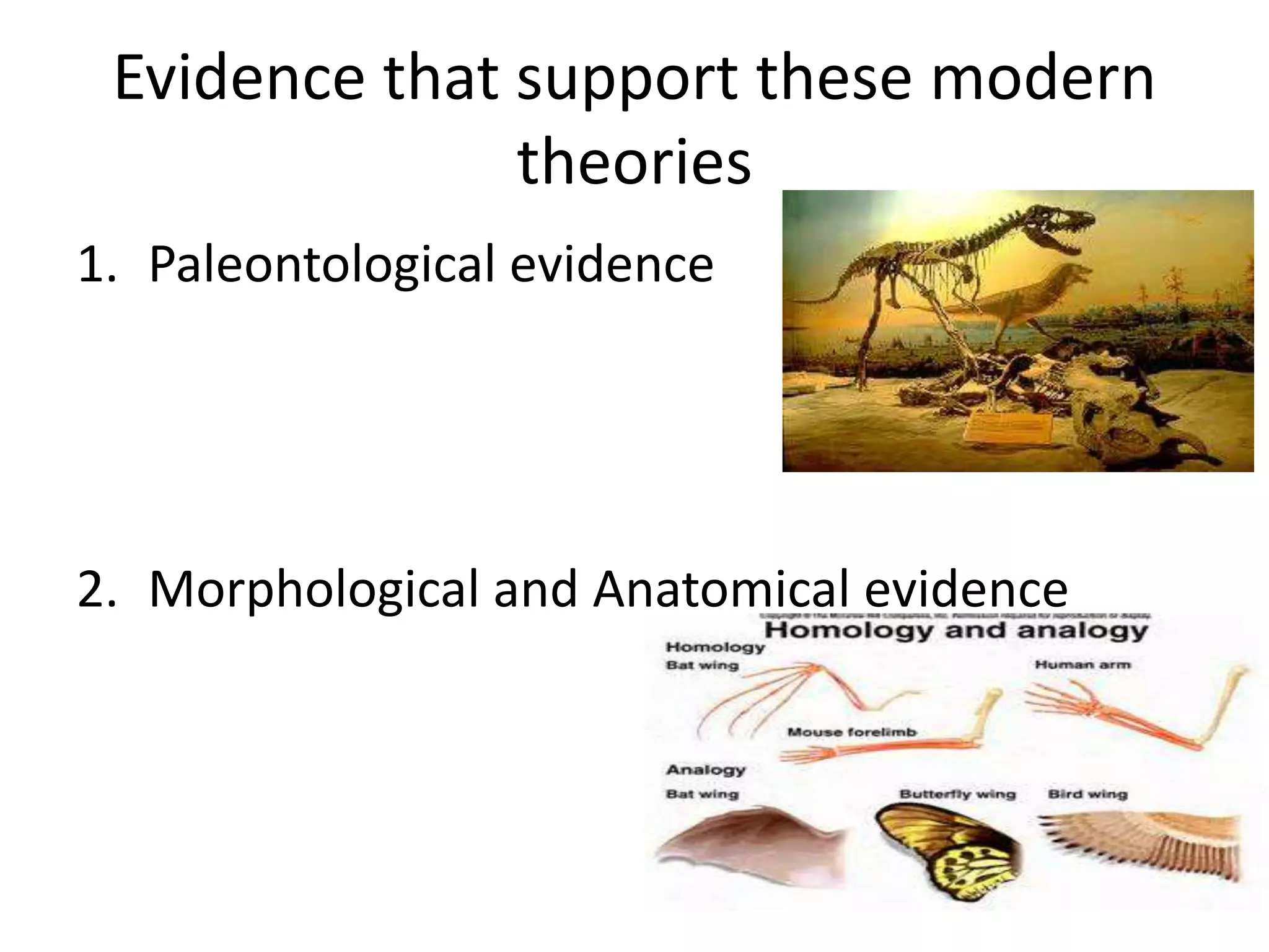 Evolution and human evolution | PPTX