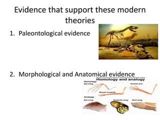 Evolution and human evolution | PPTX