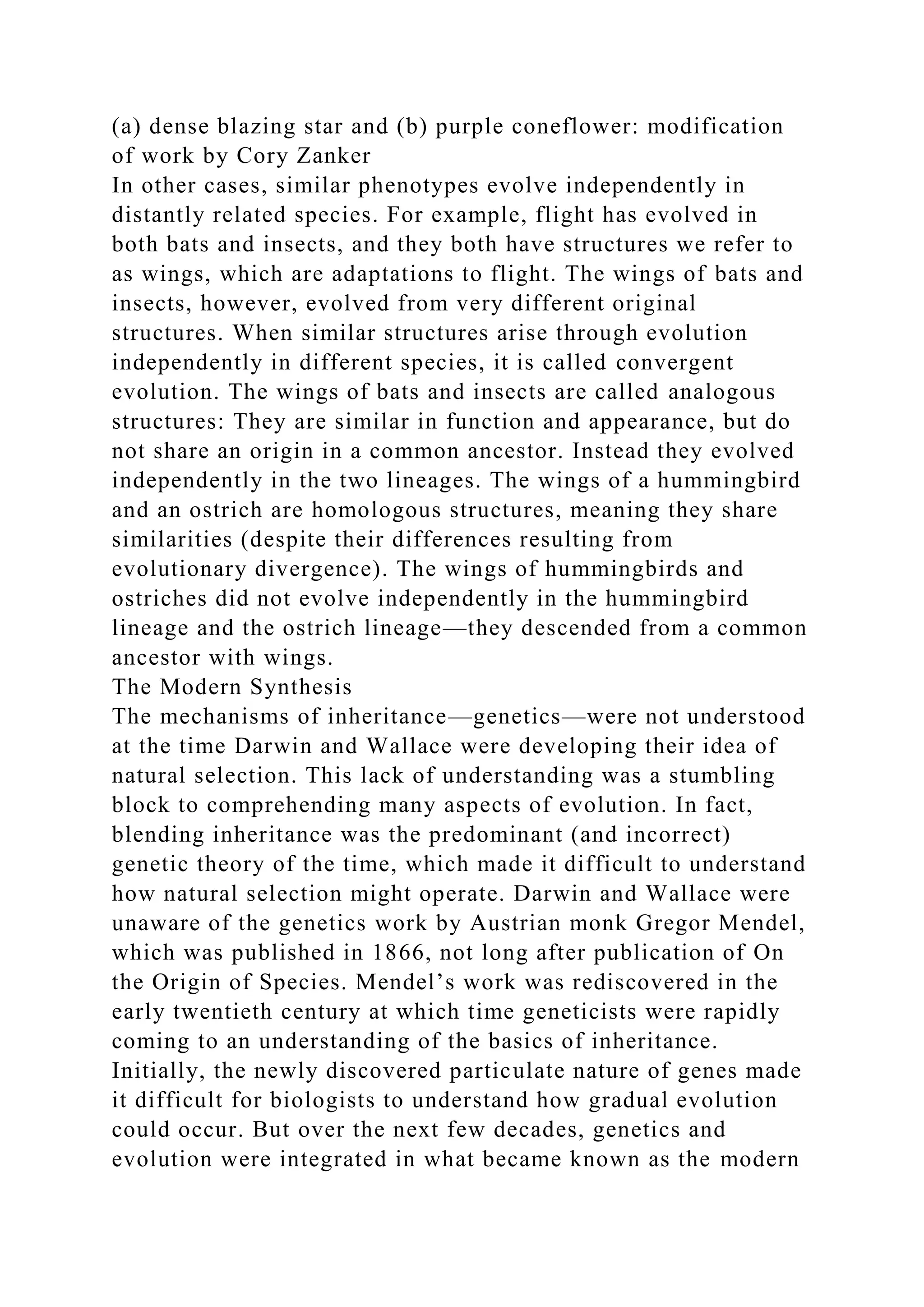 Evolution and Its ProcessesFigure 1 Diversity of Life on Eart.docx