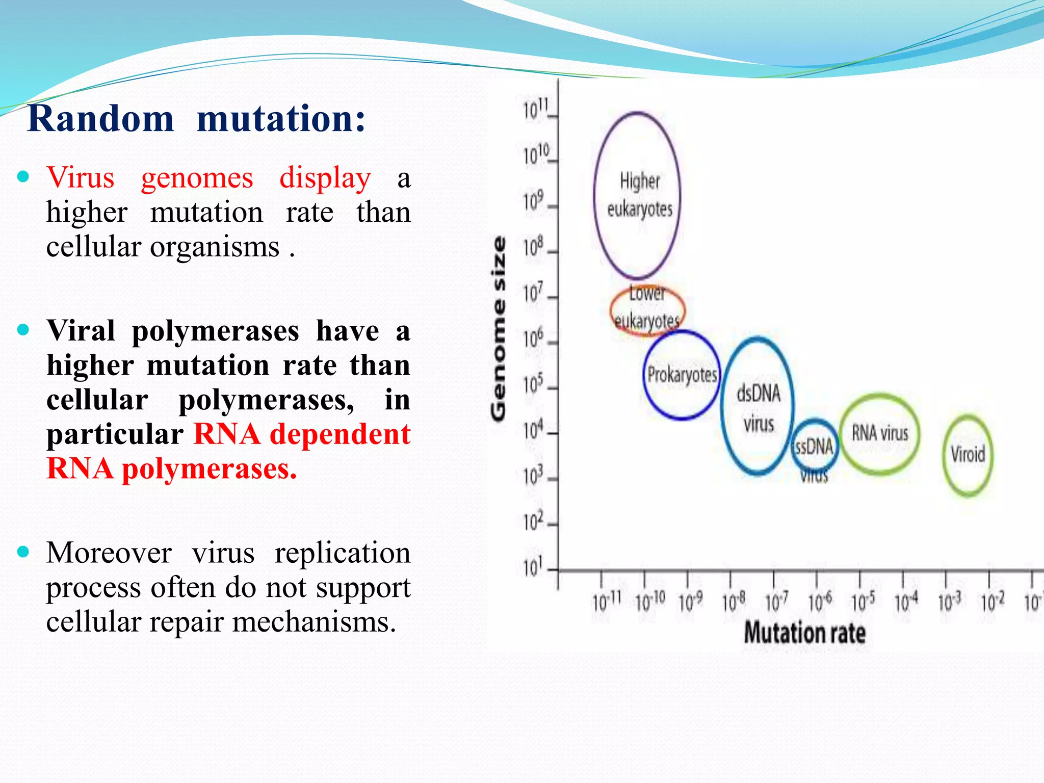 Evolution and mutation of viruses | PPTX