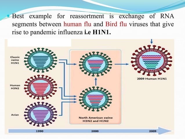 Evolution and mutation of viruses | PPTX
