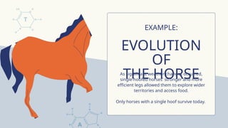 evolution and natural selection.ppt how human evolute with timex | PPTX