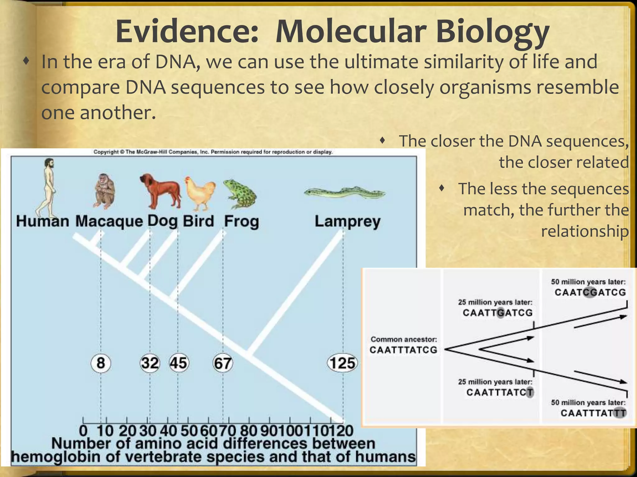 Evolution and natural selection 2015 | PPTX | Geology | Science