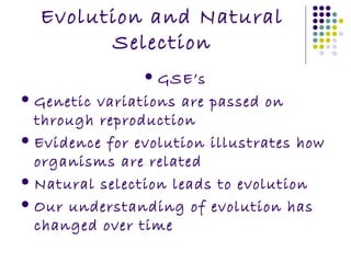 Evolution+and+natural+selection pvms | PPT