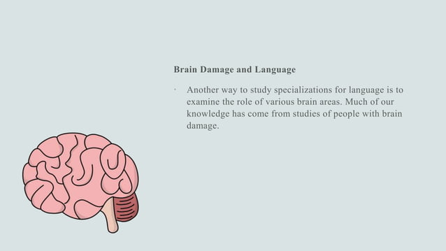 EVOLUTION AND PHYSIOLOGY OF LANGUAGE.pptx