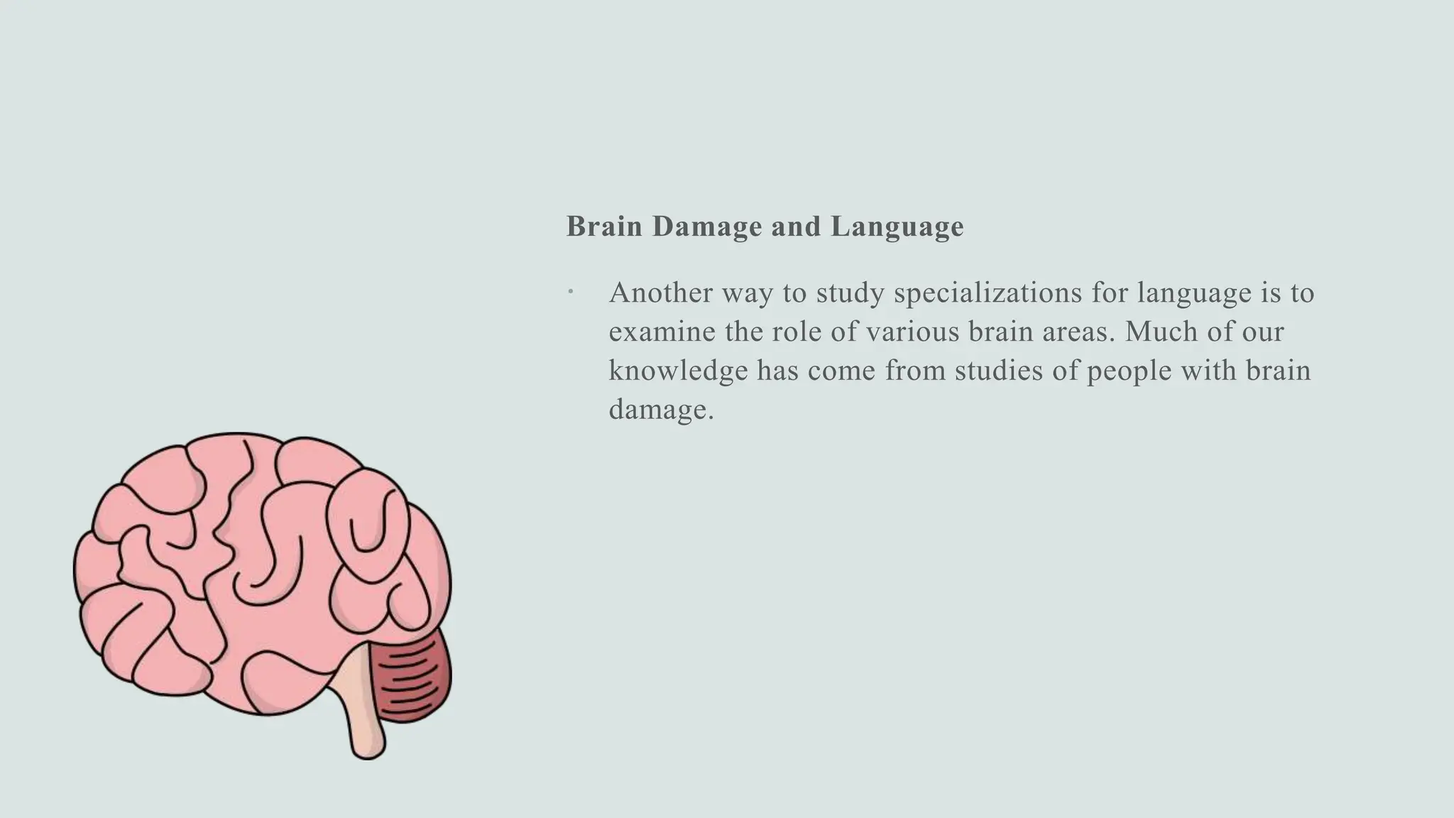 EVOLUTION AND PHYSIOLOGY OF LANGUAGE.pptx