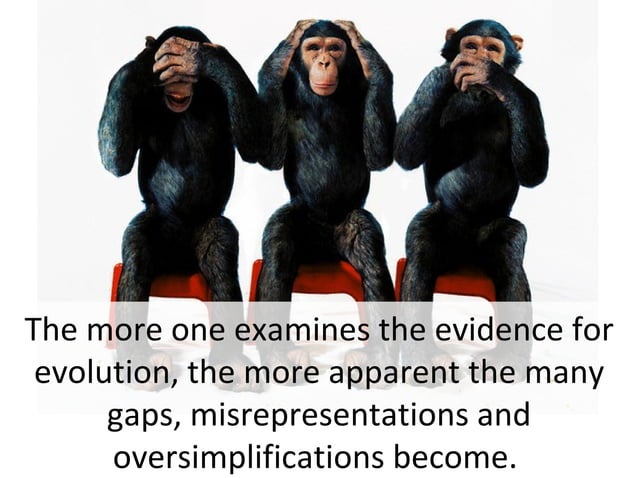 Evolution and the 98% Chimpanzee | PPT