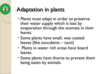 Evolution and the environment (summary of the AQA module) | PPT