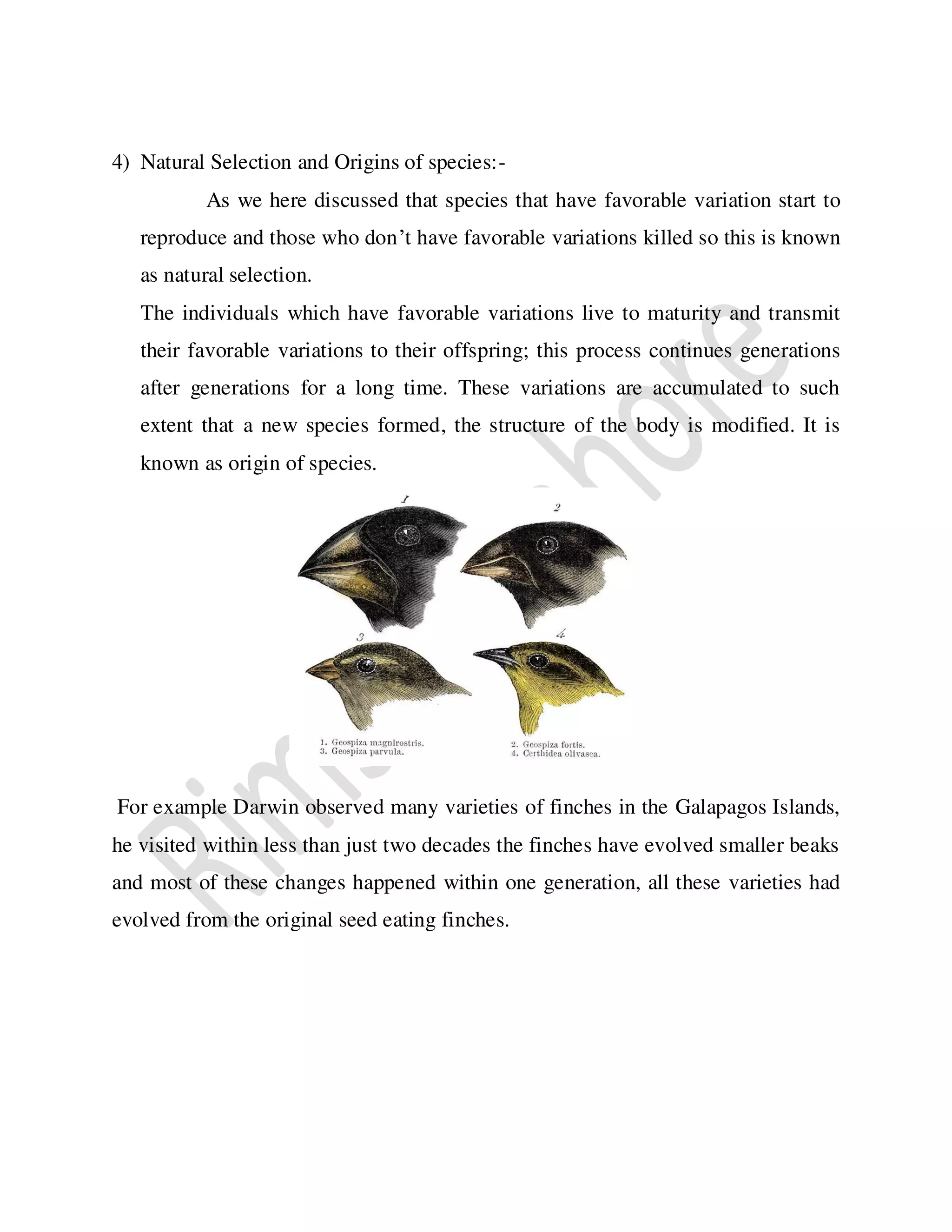 Evolution and theories of evolution | PDF