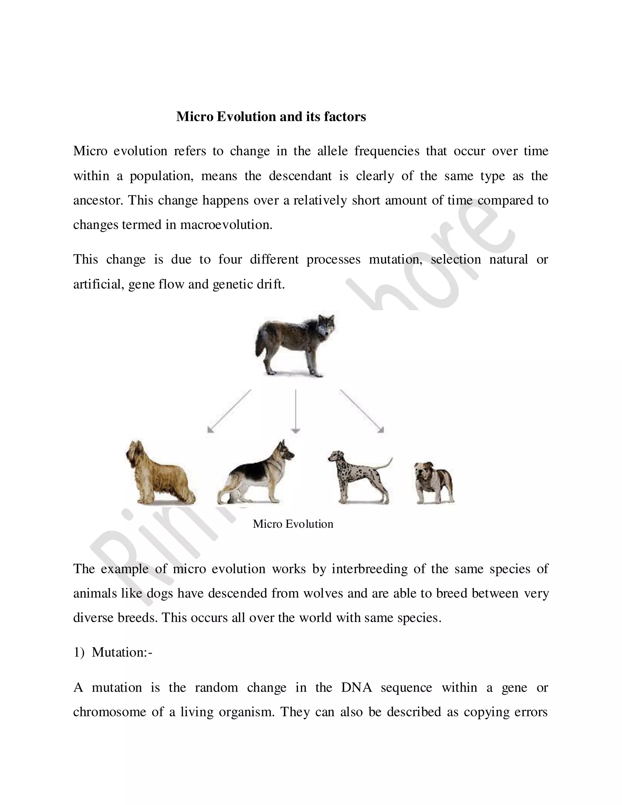 Evolution and theories of evolution | PDF