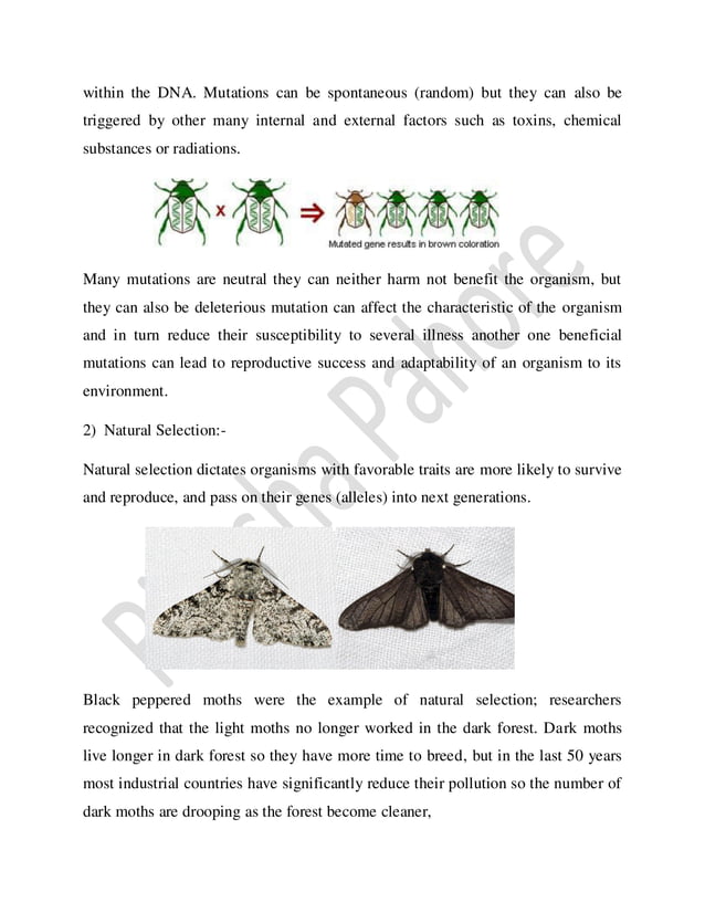 Evolution and theories of evolution | PDF