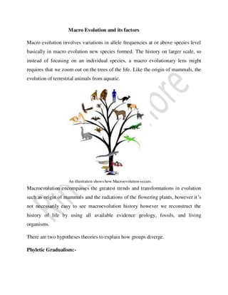 Evolution and theories of evolution | PDF